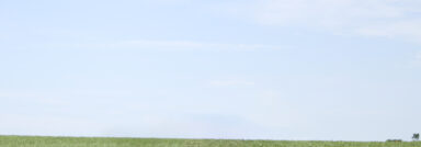 Canadian Centre for Food Integrity | Building trust, one bite at a time.