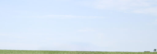 Canadian Centre for Food Integrity | Building trust, one bite at a time.