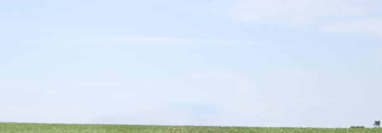 Canadian Centre for Food Integrity | Building trust, one bite at a time.